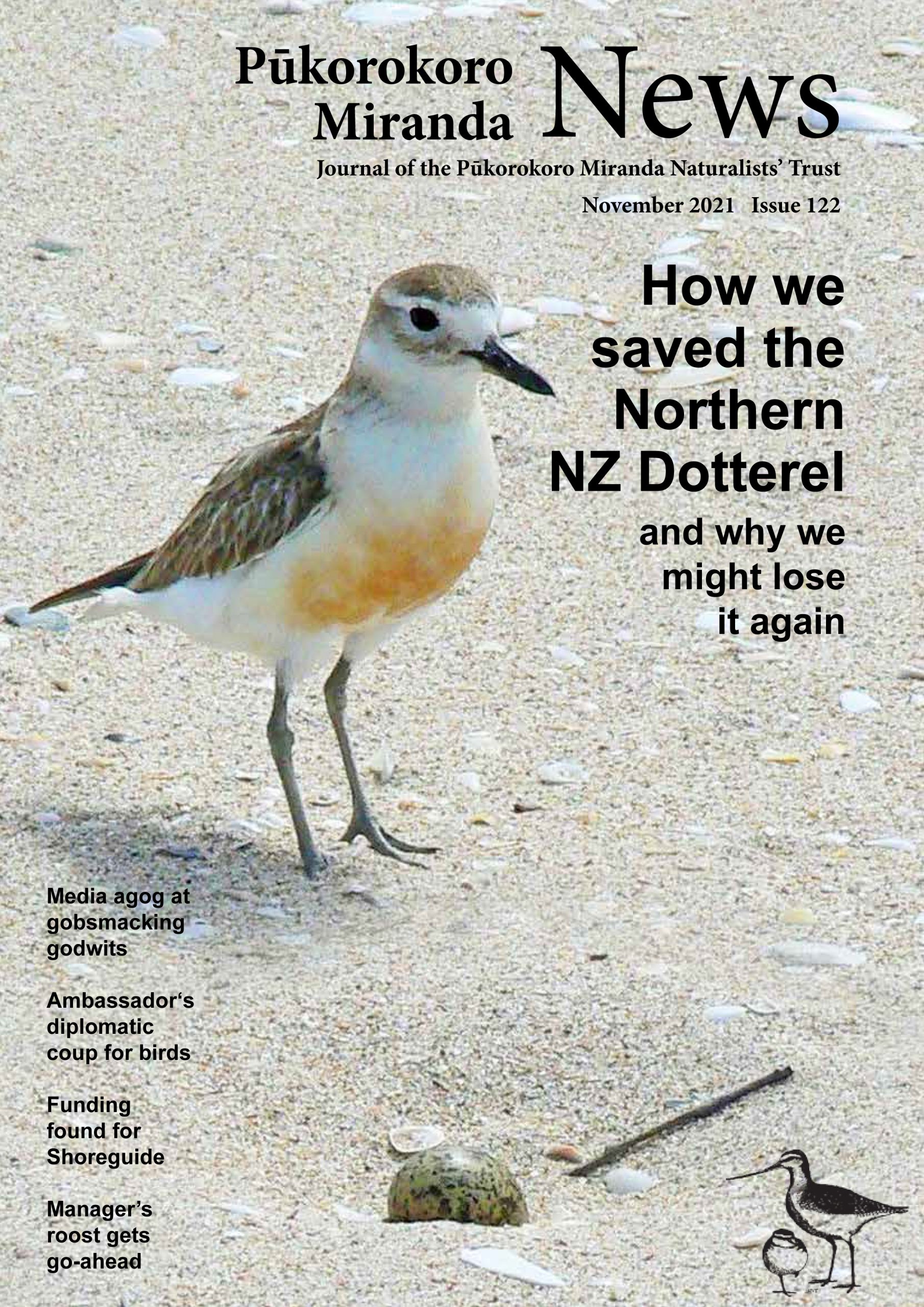 Magazine November 2021 - How we saved the Northern NZ Dotterel ...