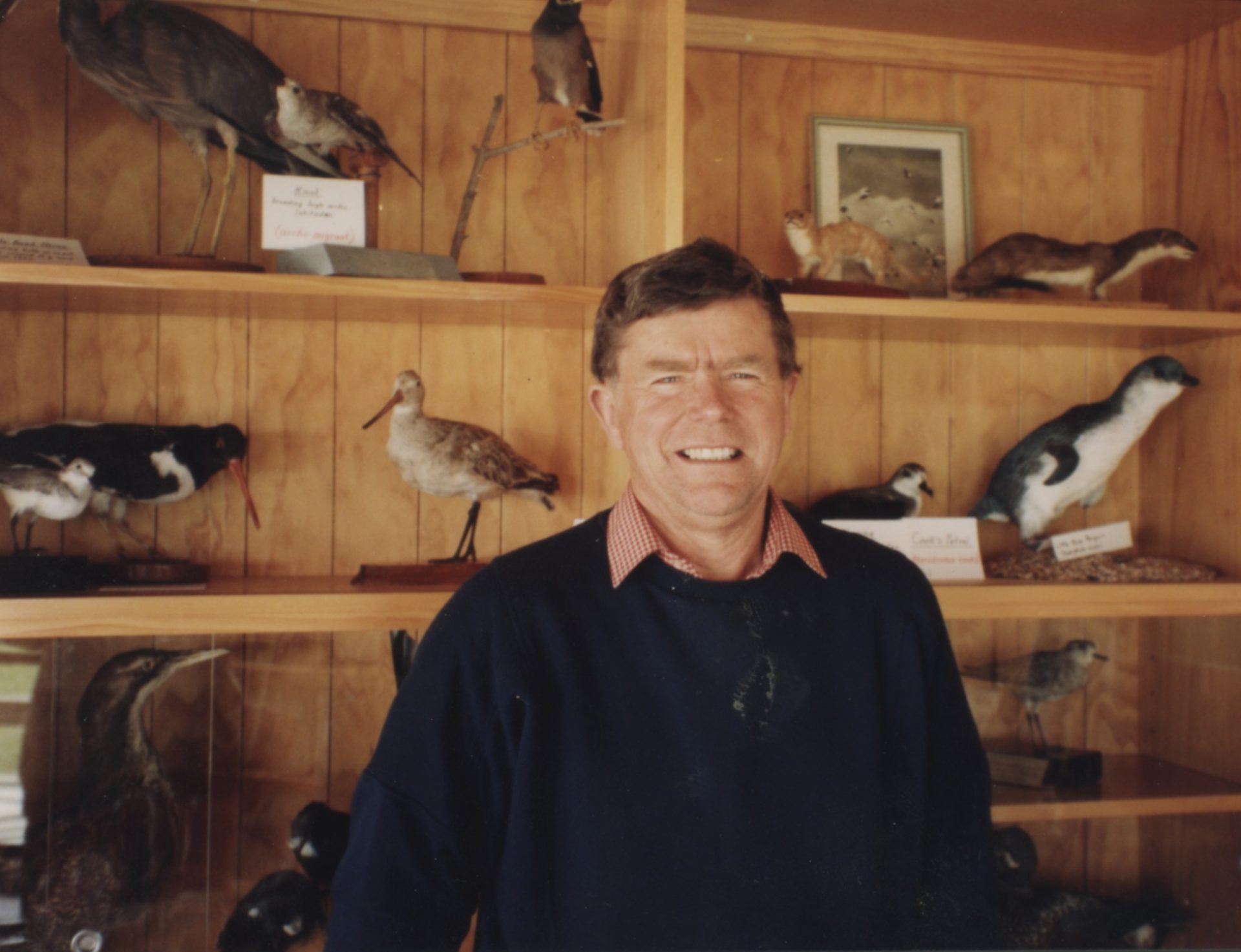 In Pursuit of Champions - Pūkorokoro Miranda Shorebird Centre